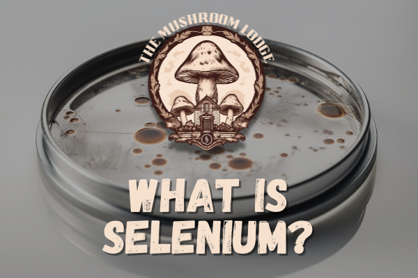 WHAT IS SELENIUM? – The Mushroom Lodge Store